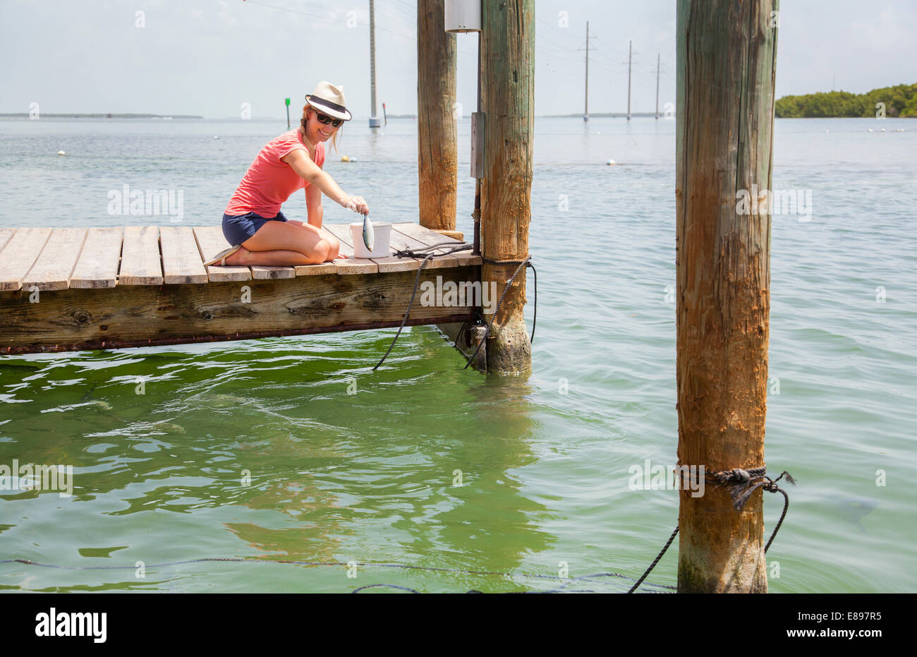Girl feeding tarpon from dock at Robbies of Islamorada in the Florida ...