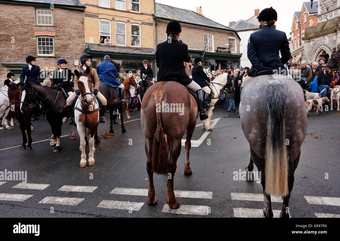 Horses and riders facing hunt supporters Stock Photo - Alamy