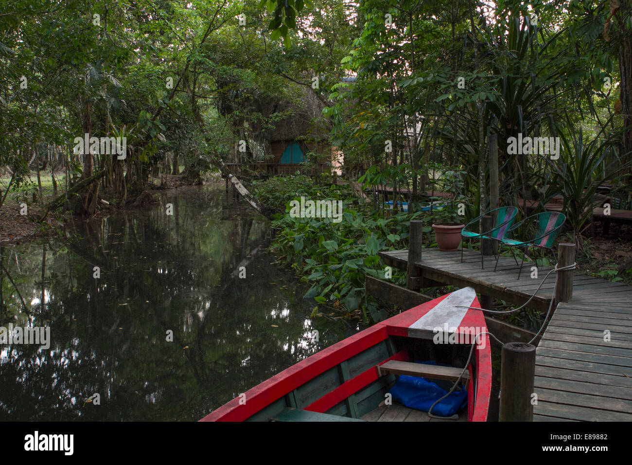 Boat in the jungle at Lago de Izabal, Rio Dulce, Travel to Guatemala ...