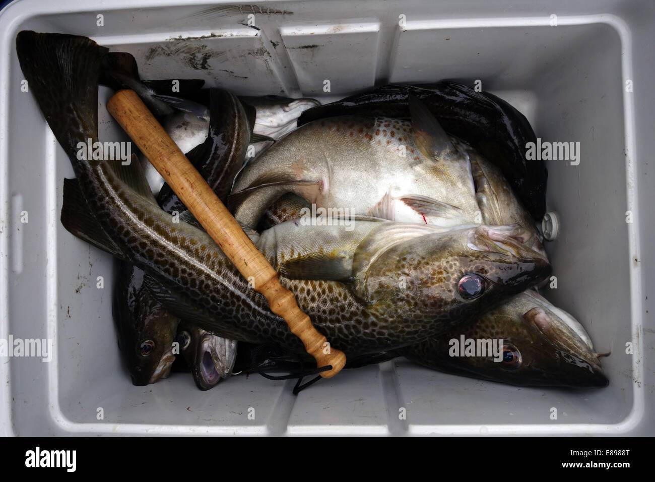 The baton hi-res stock photography and images - Alamy