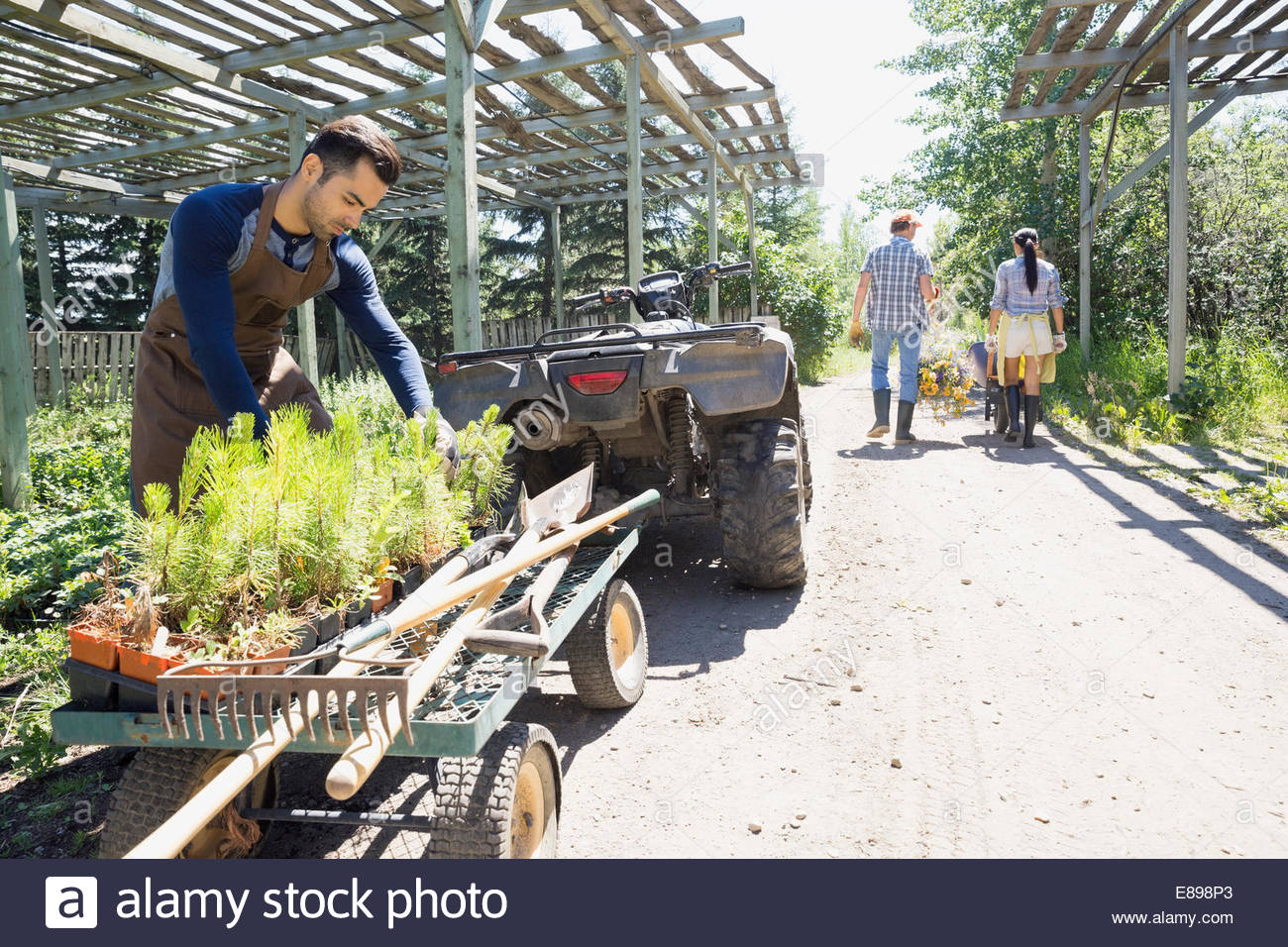 Hispanics and community garden hi-res stock photography and images - Alamy