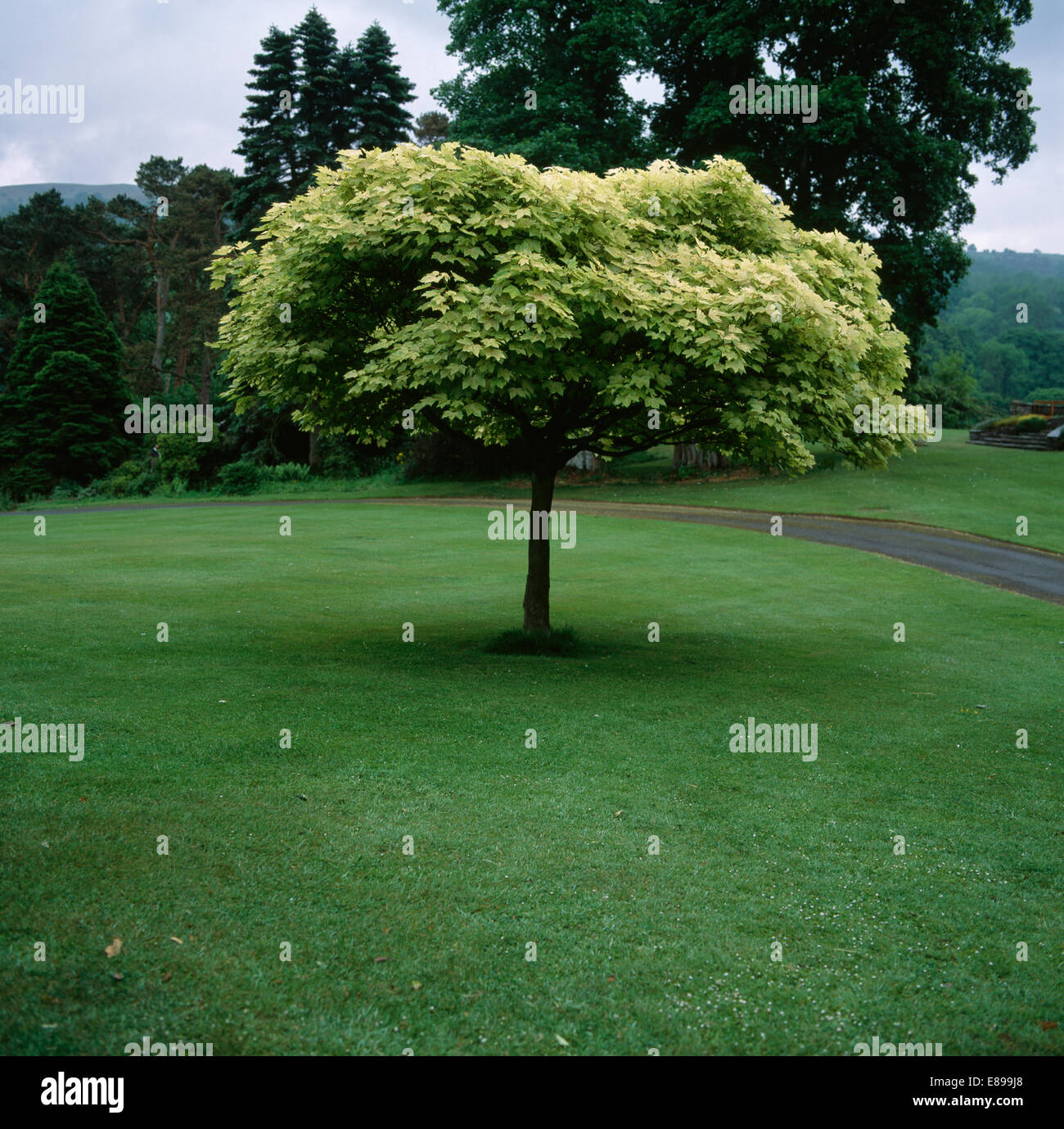 Country centre hi-res stock photography and images - Alamy