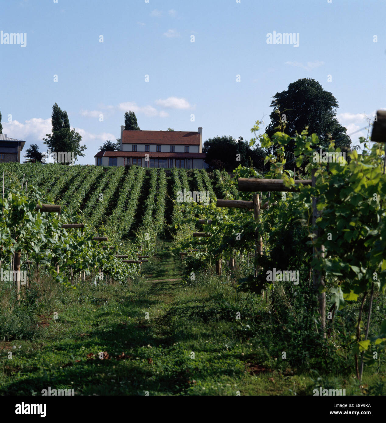 Field below hi-res stock photography and images - Alamy