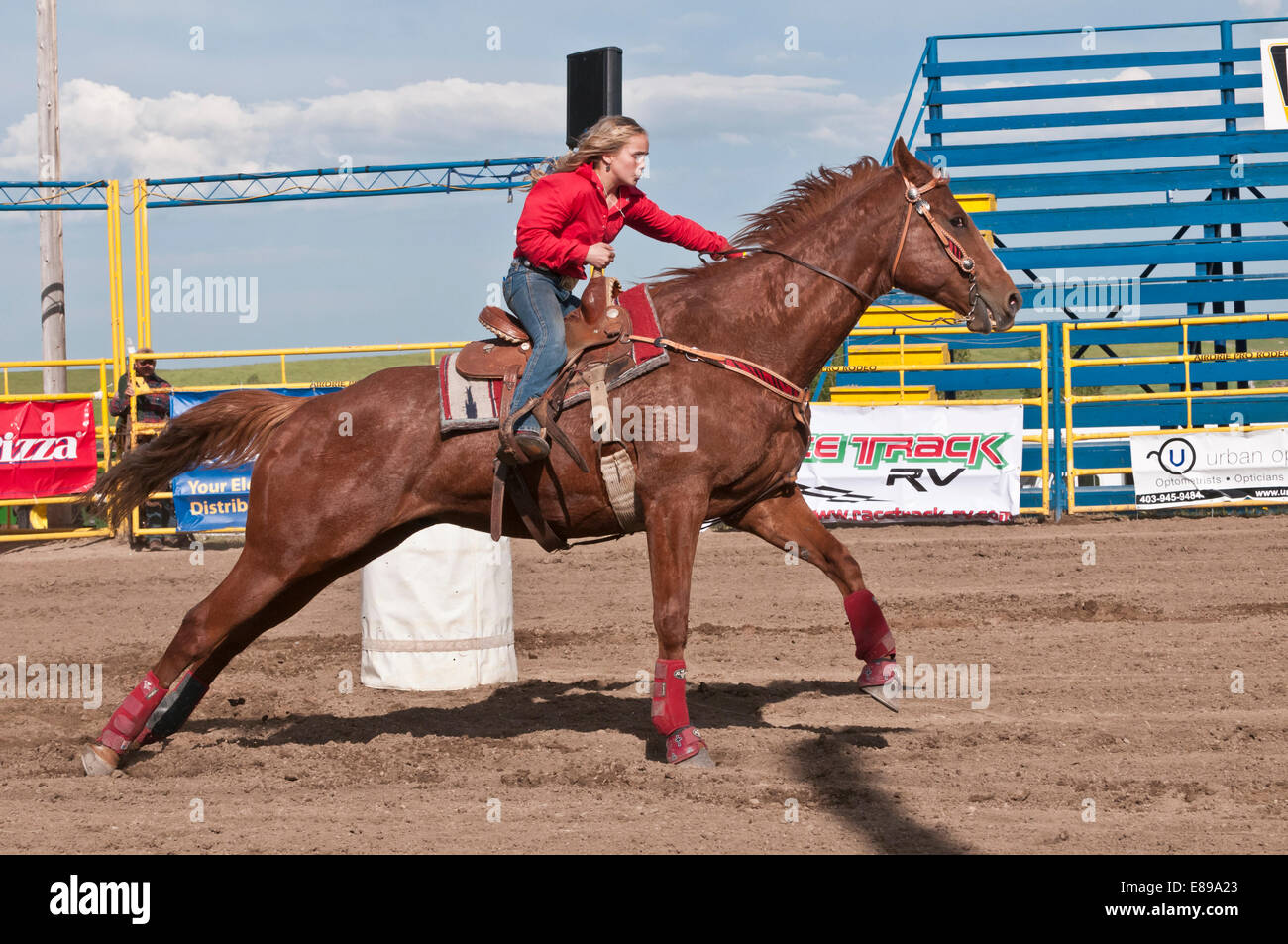 Young cowgirl riding fast during barrel racing, Airdrie Rodeo, Airdrie ...