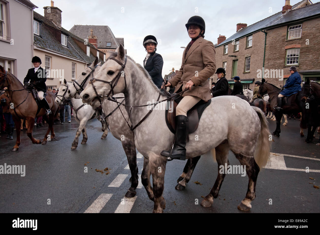 Horse boxing hi-res stock photography and images - Alamy