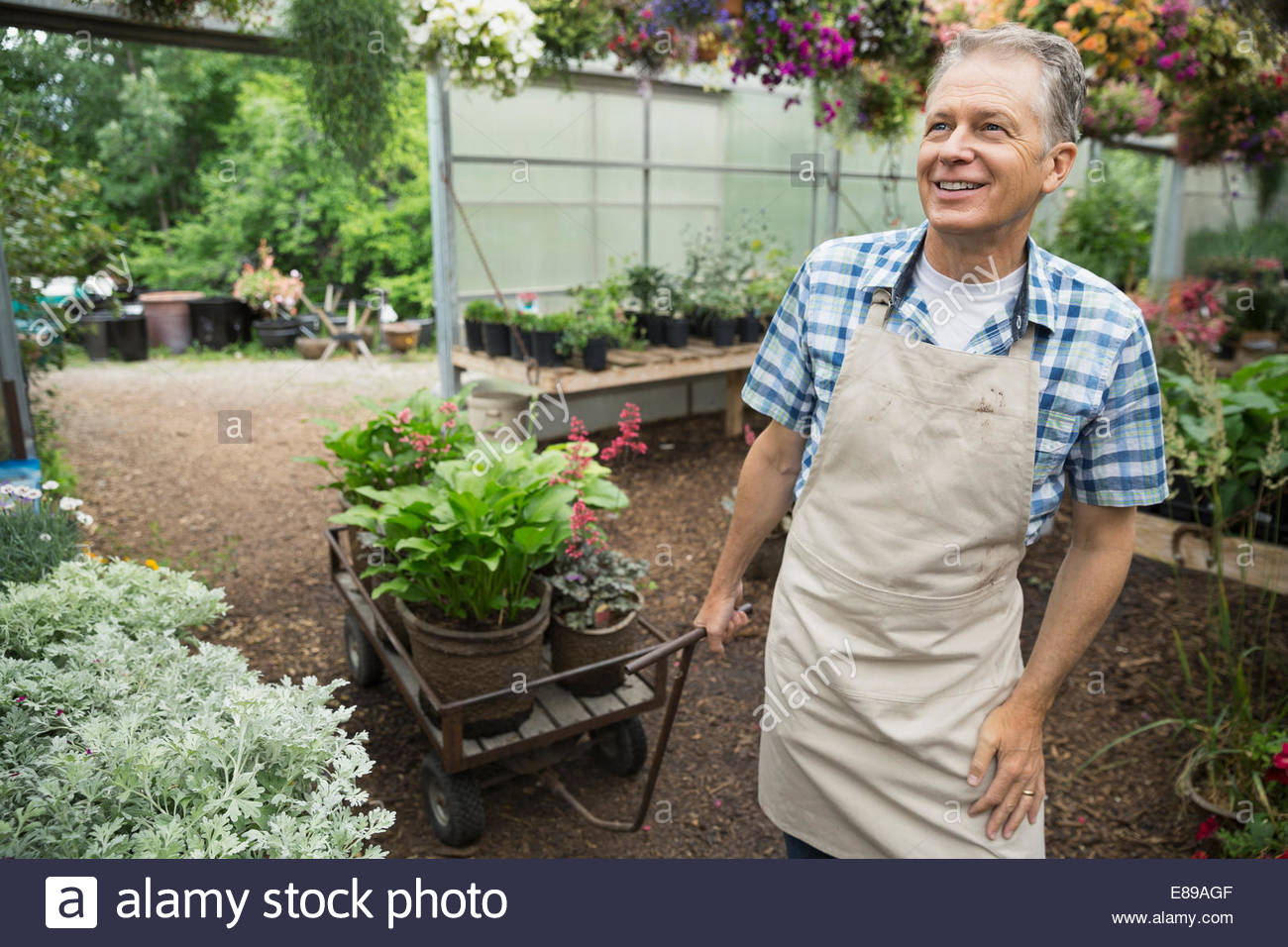 Man Pulling Wagon Stock Photos & Man Pulling Wagon Stock Images - Alamy