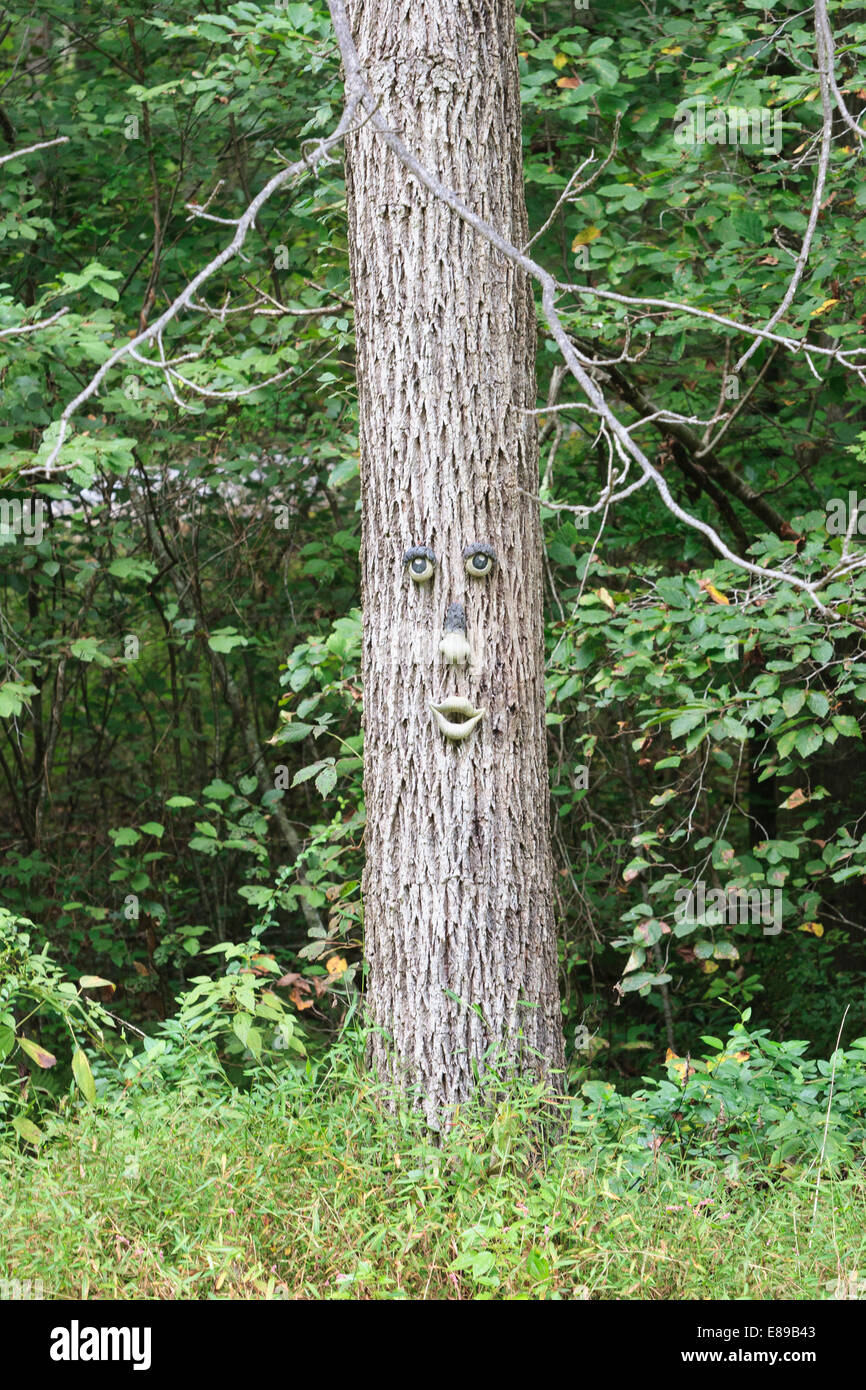 Facial features attached to tree trunk to appear like a human face ...