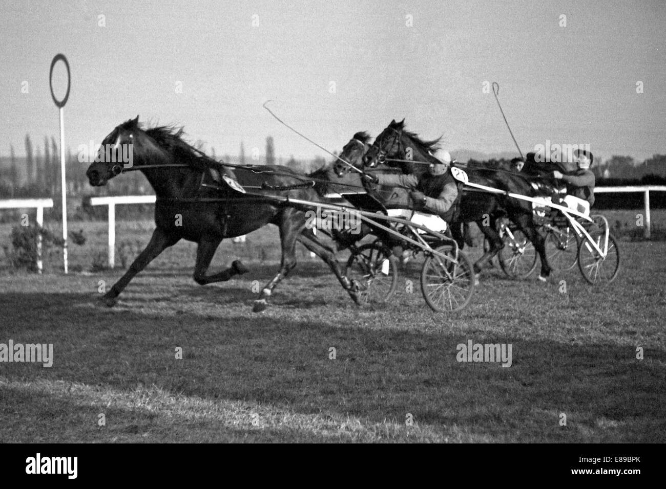 Dresden, East Germany, harness racing at the racecourse in Seidnitz ...