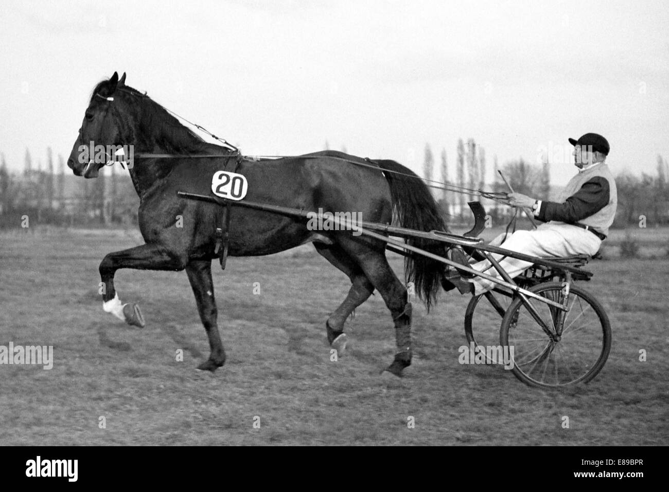 Dresden, East Germany, harness racing horse and rider on the horse race ...
