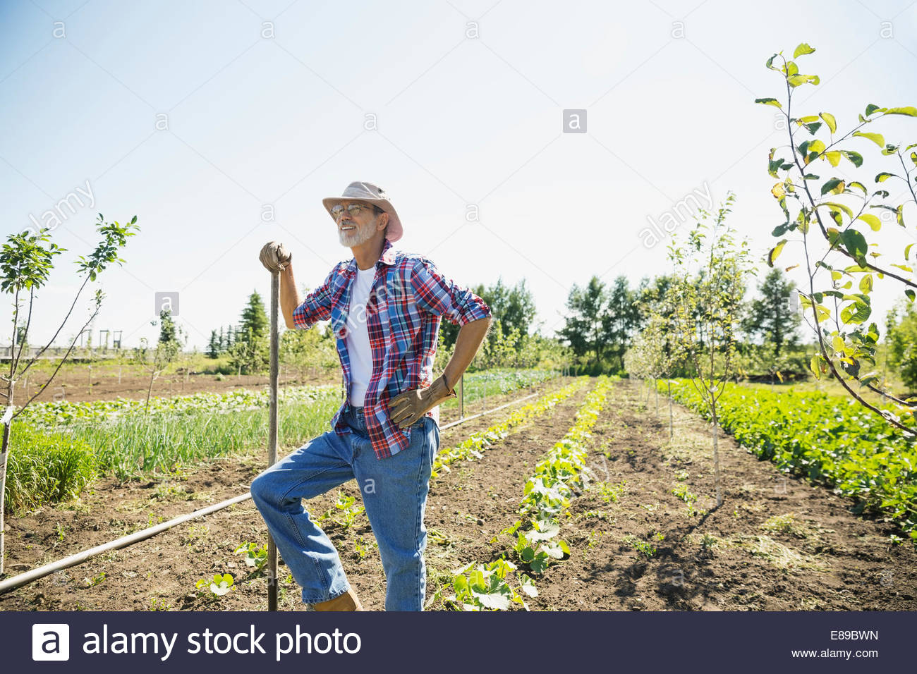 Man standing in a garden hi-res stock photography and images - Alamy