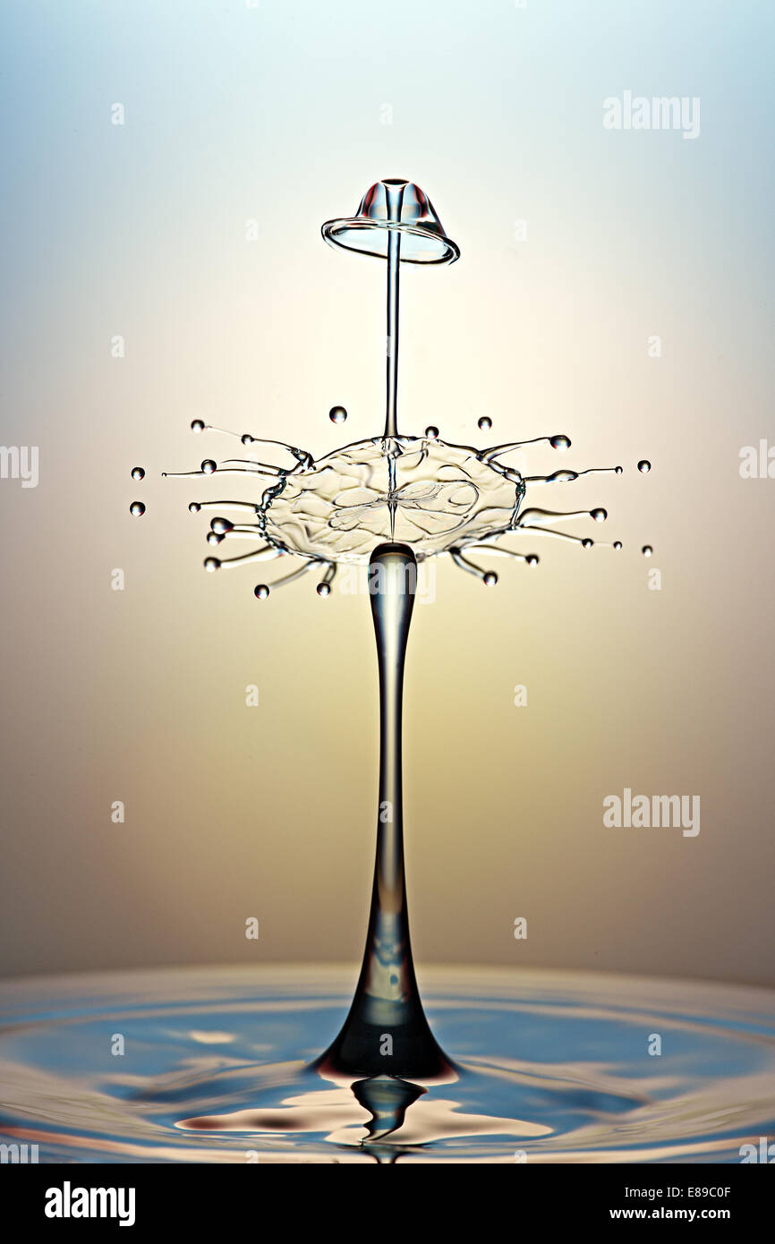 Water Sculpture Photography
