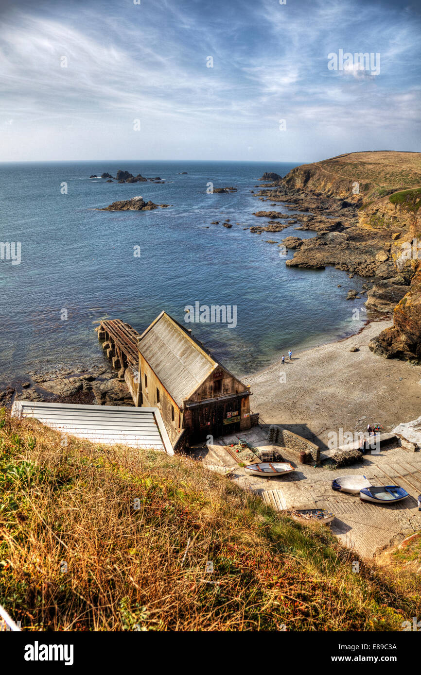 Lizard Head High Resolution Stock Photography and Images - Alamy