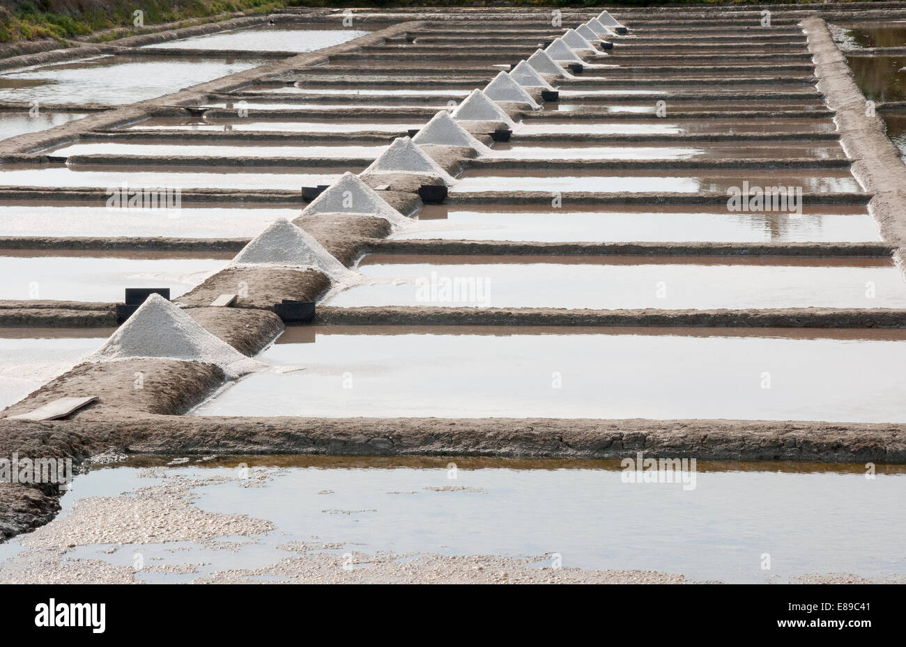 Salt Drying at a Salt Marsh, Vendee, France Stock Photo - Alamy