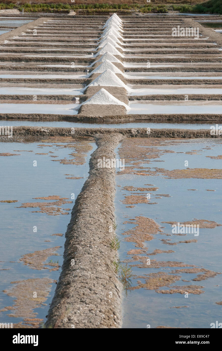 Drying wetland hi-res stock photography and images - Alamy