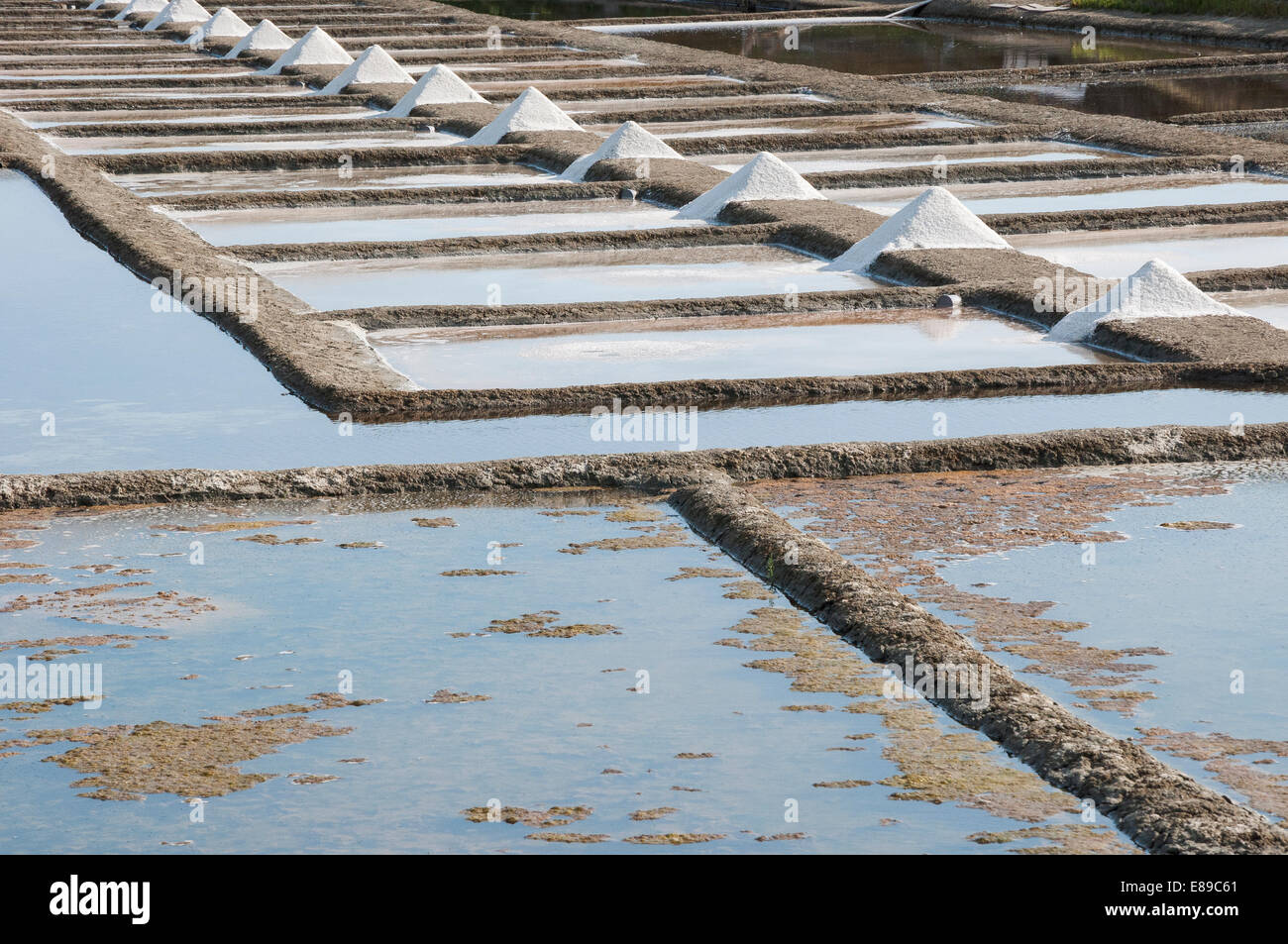 Salt Drying at a Salt Marsh, Vendee, France Stock Photo - Alamy