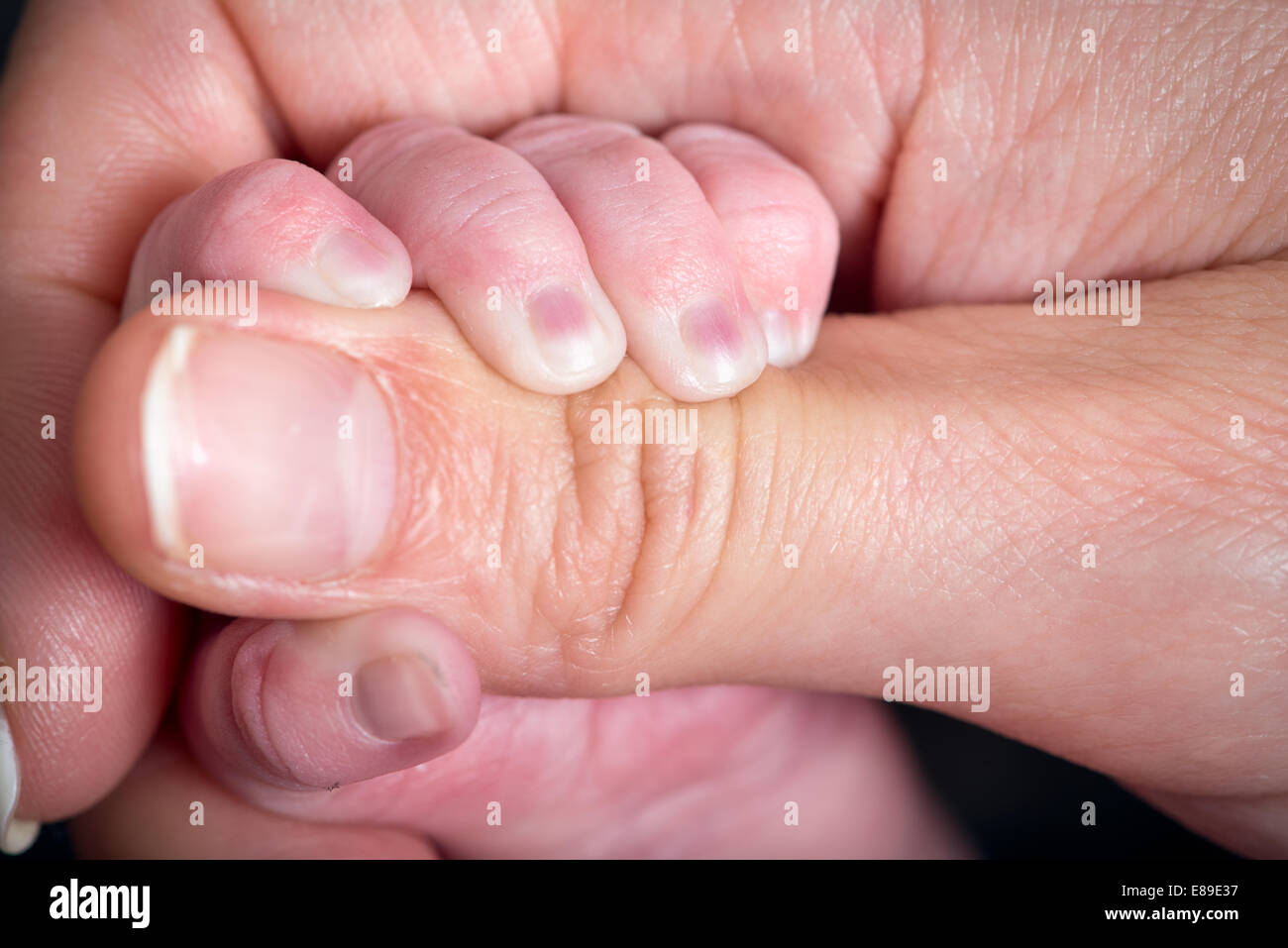 A closeup of a small baby gripping the thumb of an adult Stock Photo ...
