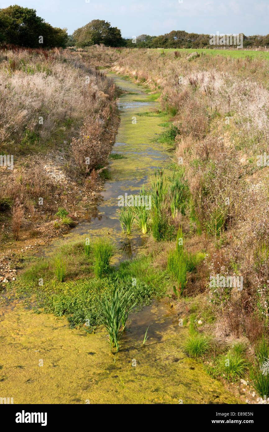 Drainage and irrigation hi-res stock photography and images - Alamy