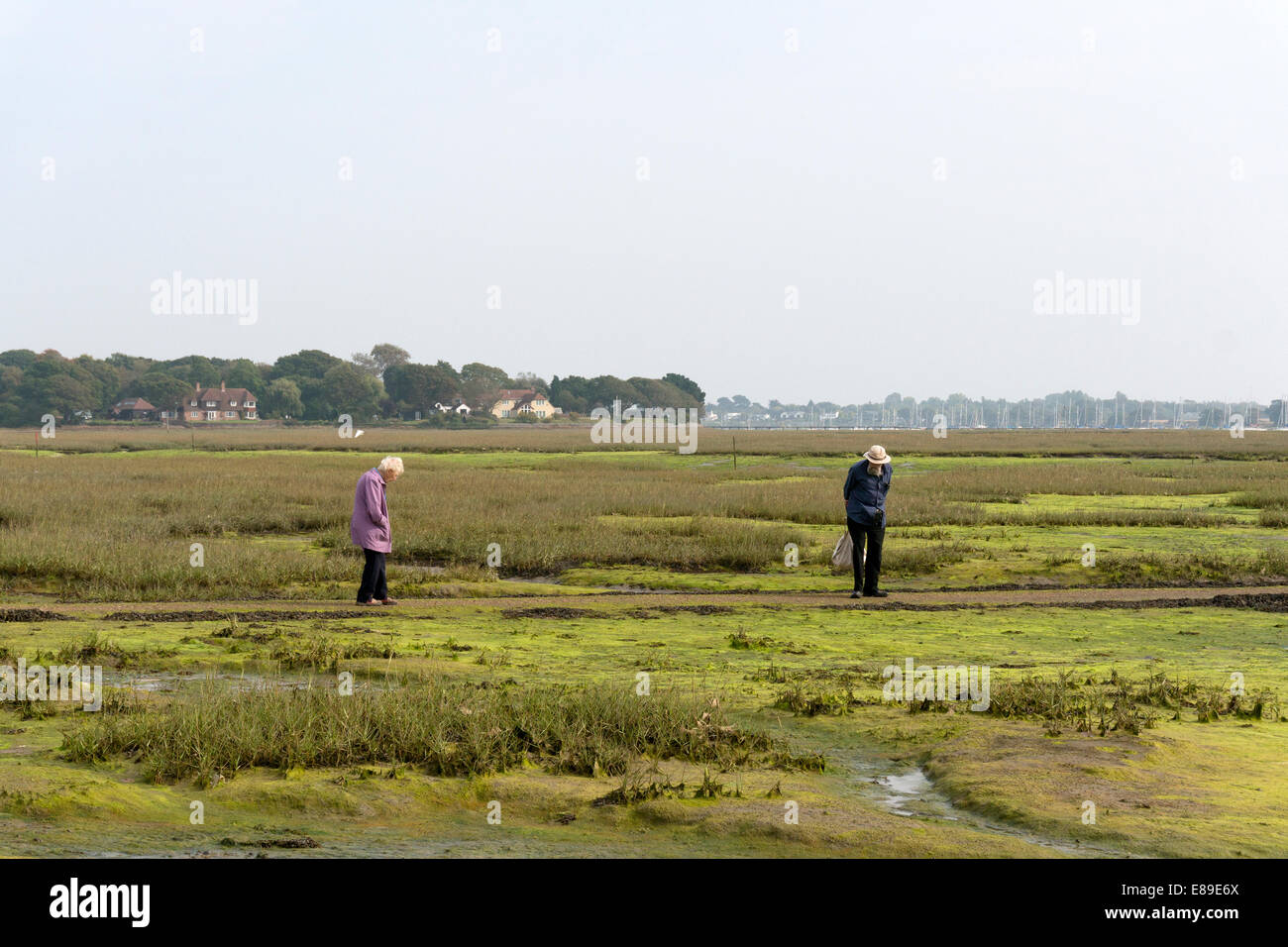 Old people walking hi-res stock photography and images - Alamy