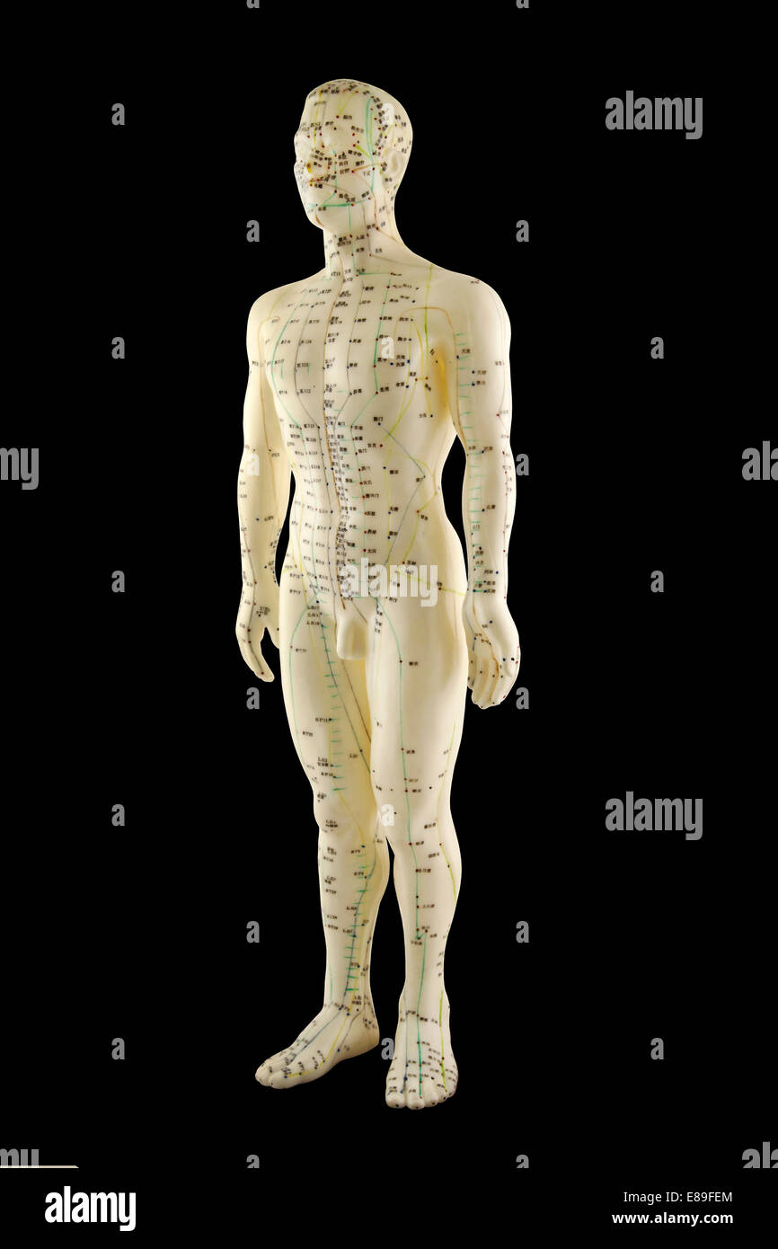 Acupuncture meridians High Resolution Stock Photography and Images - Alamy