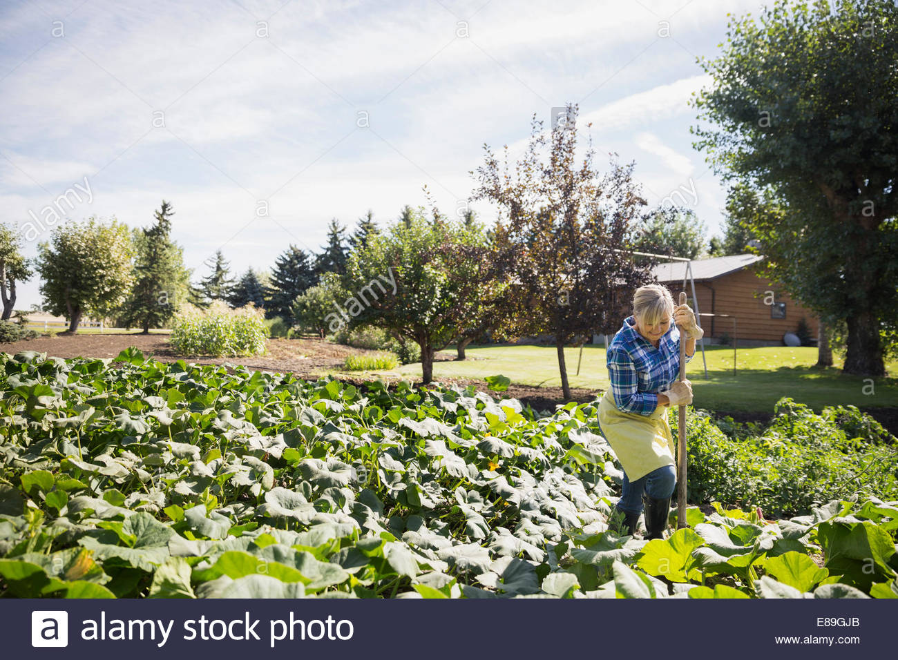 Woman digging garden hi-res stock photography and images - Alamy