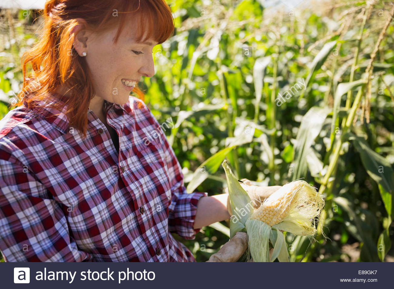 Woman checking hi-res stock photography and images - Alamy