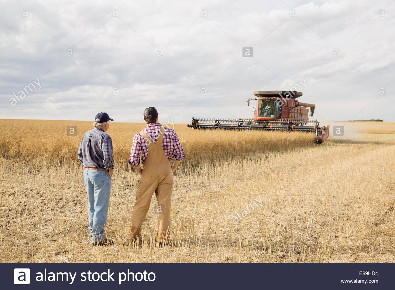 Farmers watching combine harvester in hi-res stock photography and ...