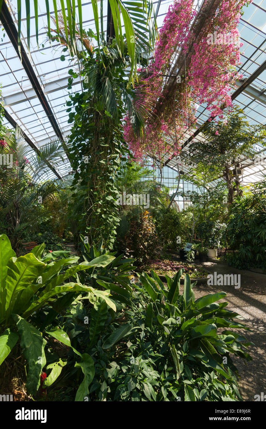 Elk203 6378v hi-res stock photography and images - Alamy