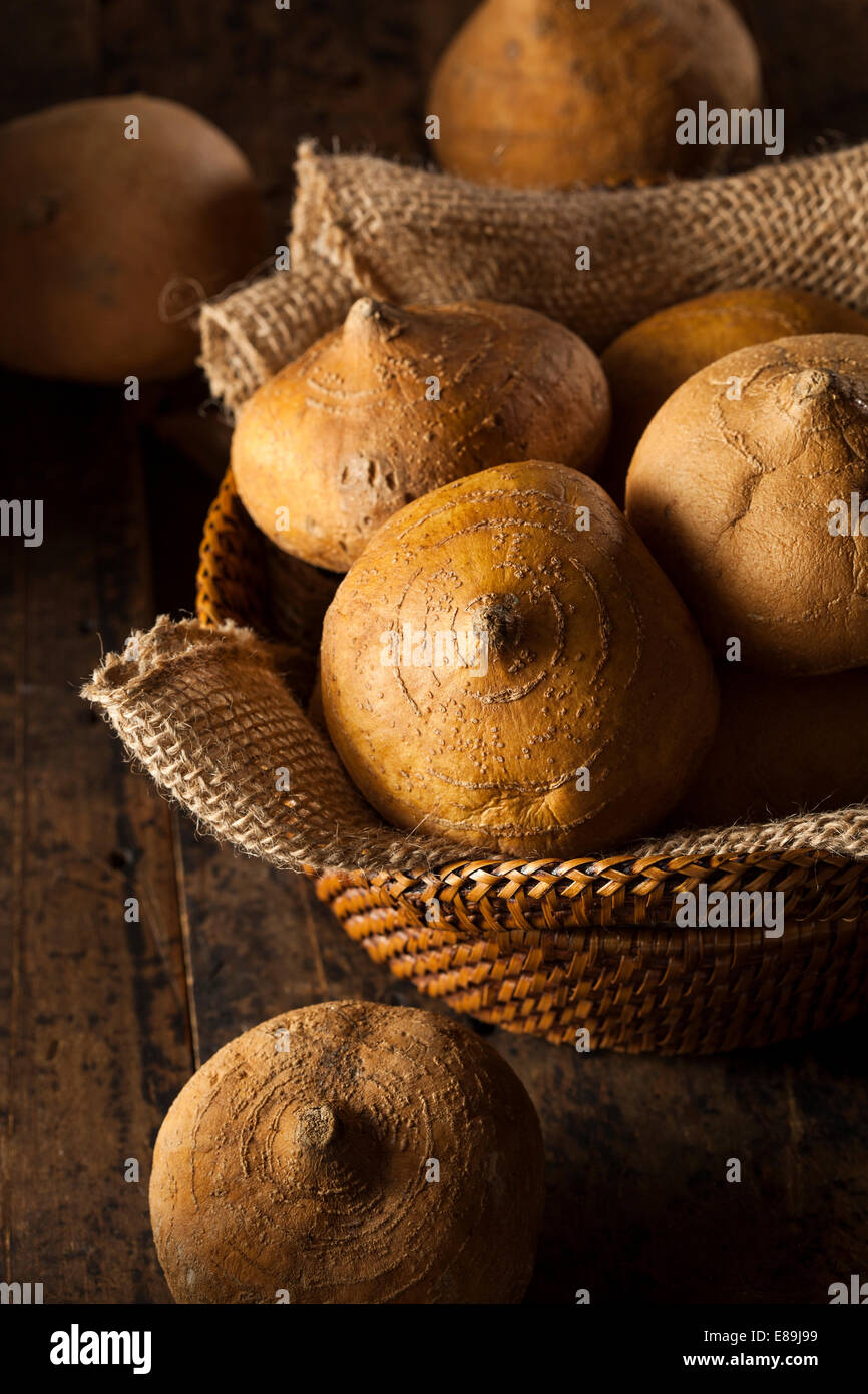 Raw organic brown jicama in hi-res stock photography and images - Alamy
