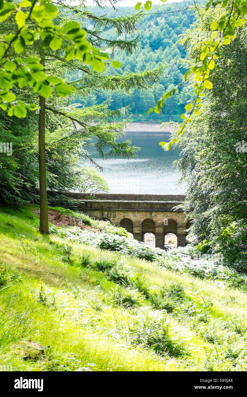 Bridge over Hollins Clough on east side of Upper Derwent Reservoir near ...
