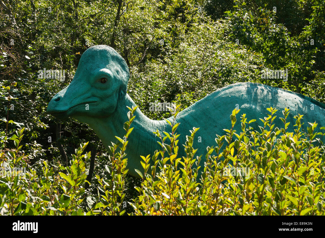 Elk203-6399 Canada, Alberta, Calgary, Calgary Zoo, Prehistoric Park ...