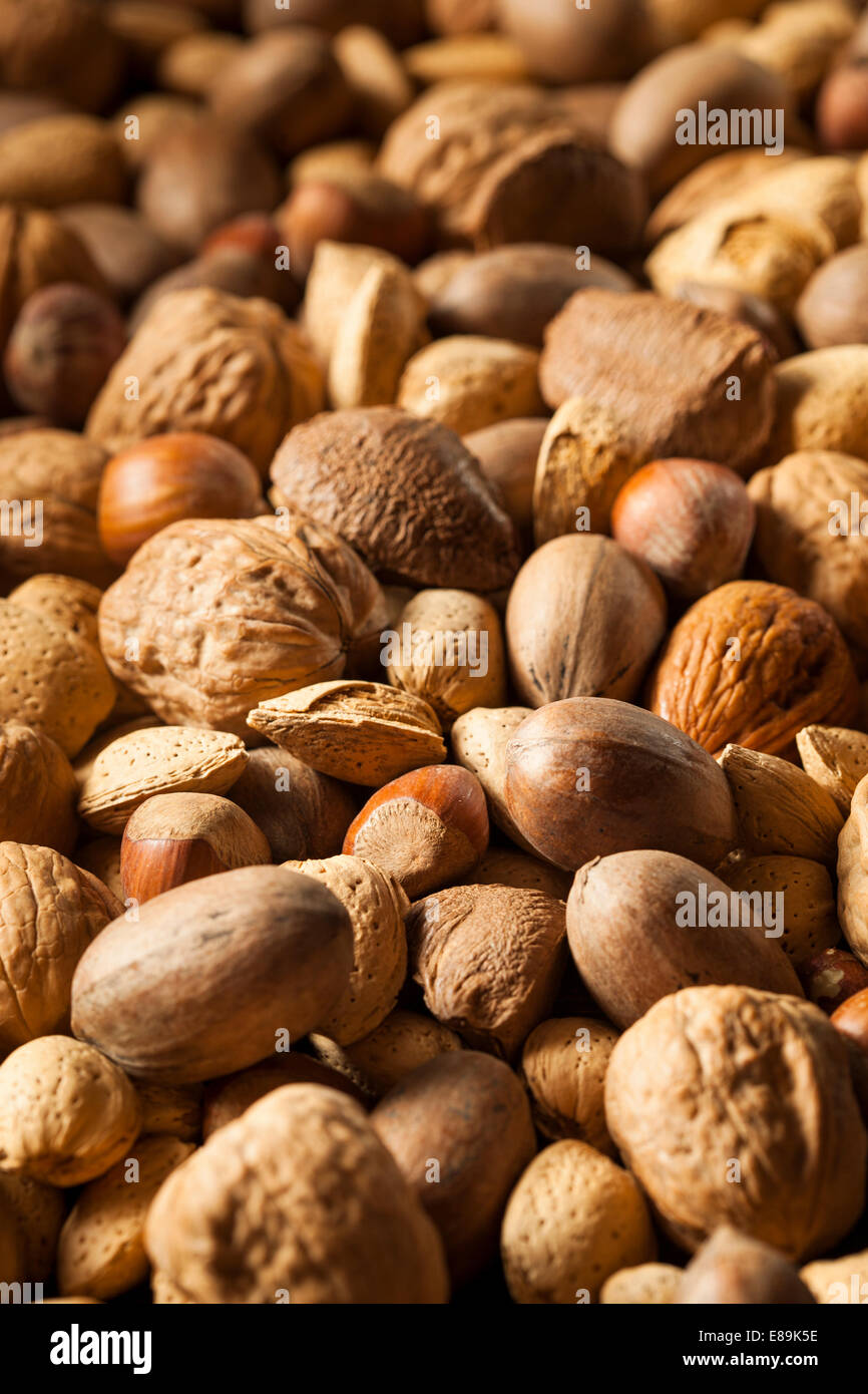 Assortment of Whole Raw Mixed Nuts for the Holidays Stock Photo - Alamy