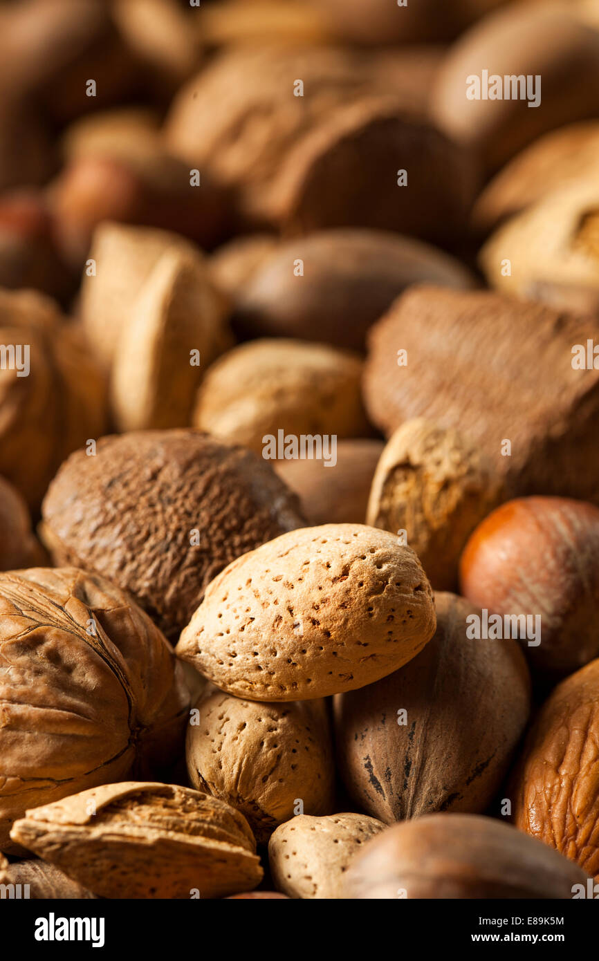 Assortment of Whole Raw Mixed Nuts for the Holidays Stock Photo - Alamy