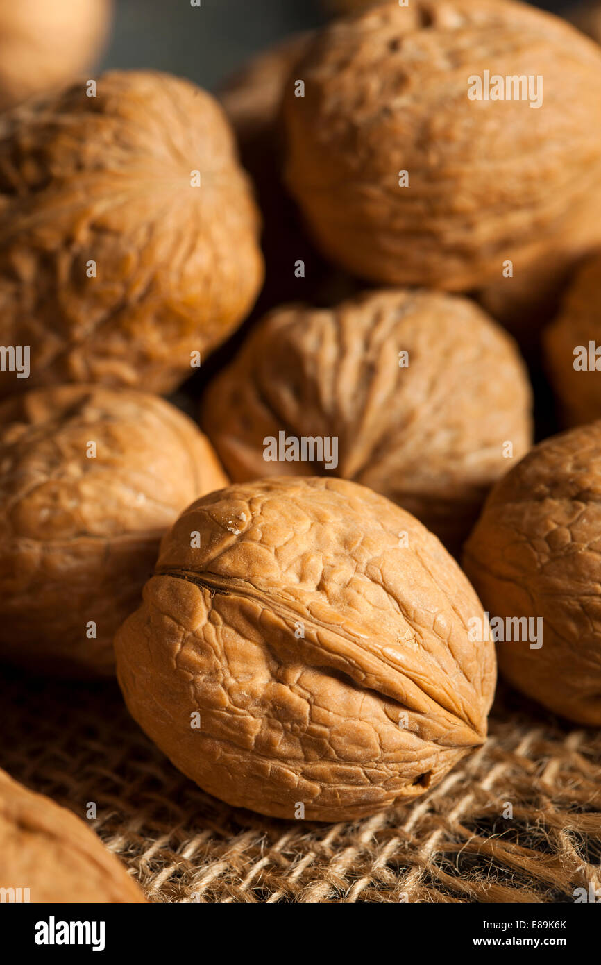 Raw Organic Whole Walnuts Ready to Eat Stock Photo - Alamy