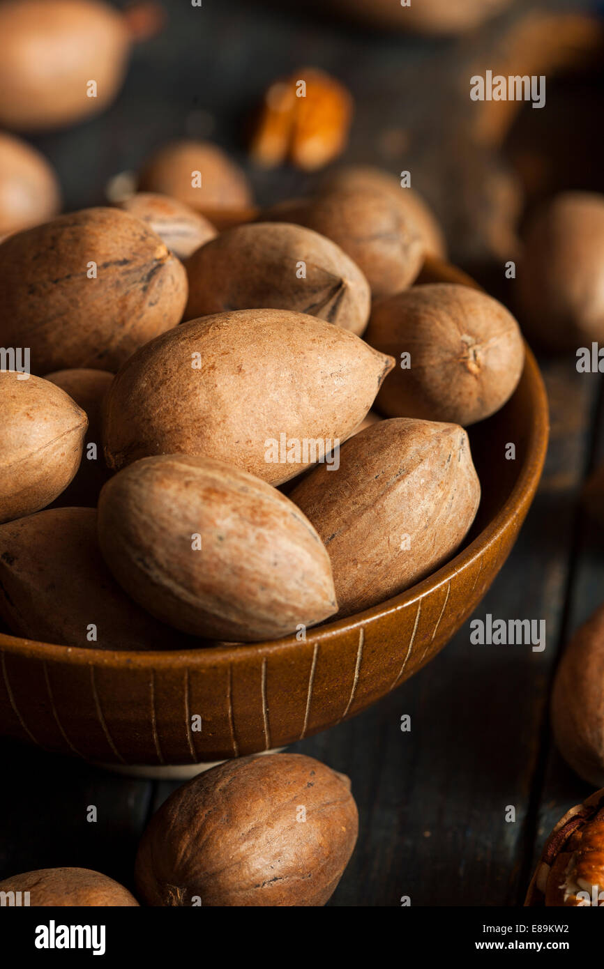 Raw Organic Whole Pecans Ready to Eat Stock Photo - Alamy