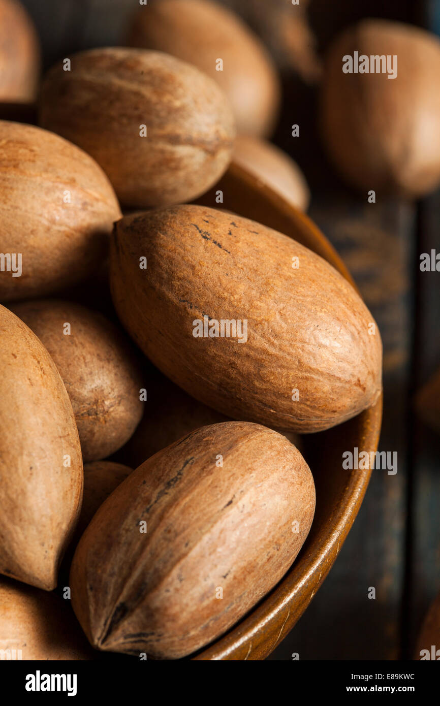Raw Organic Whole Pecans Ready to Eat Stock Photo - Alamy