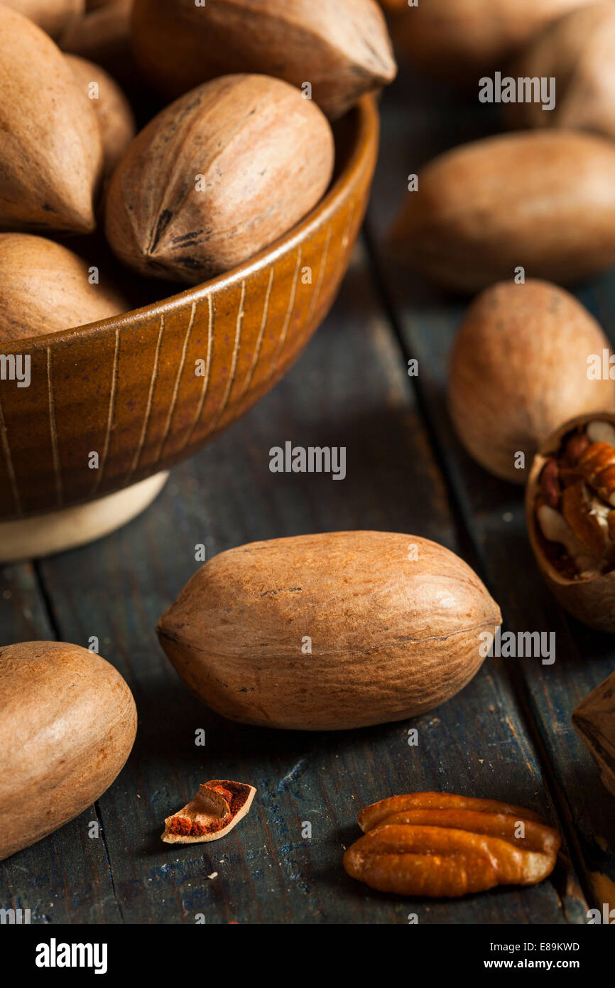 Raw Organic Whole Pecans Ready to Eat Stock Photo - Alamy