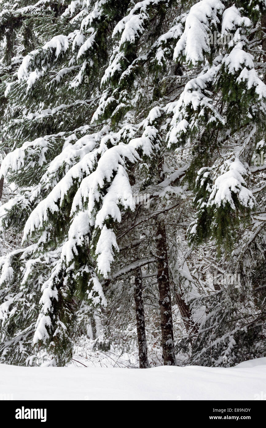 Beautiful snowy scenic landscape hi-res stock photography and images ...