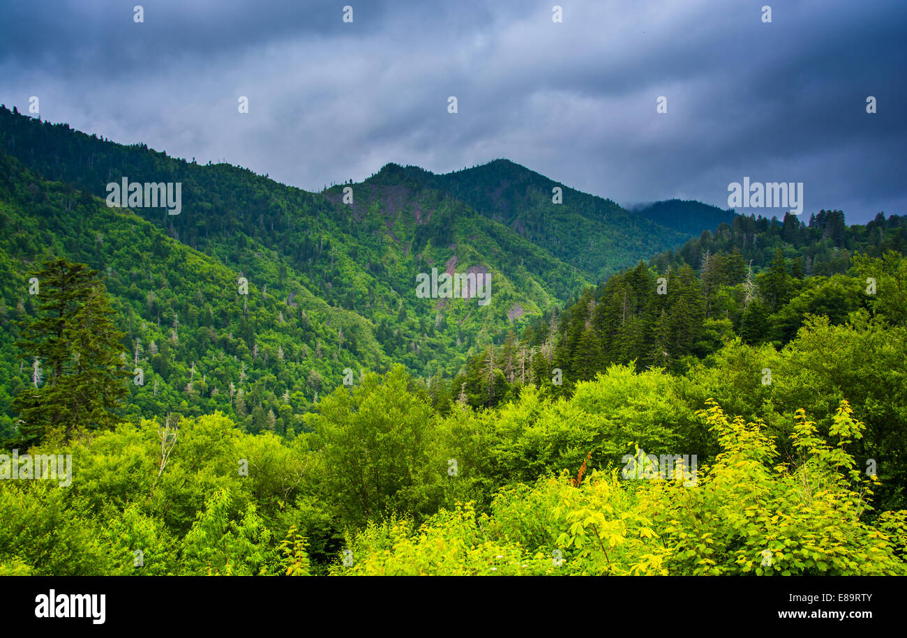 Dramatic view of the Appalachian Mountains from Newfound Gap Road, at ...
