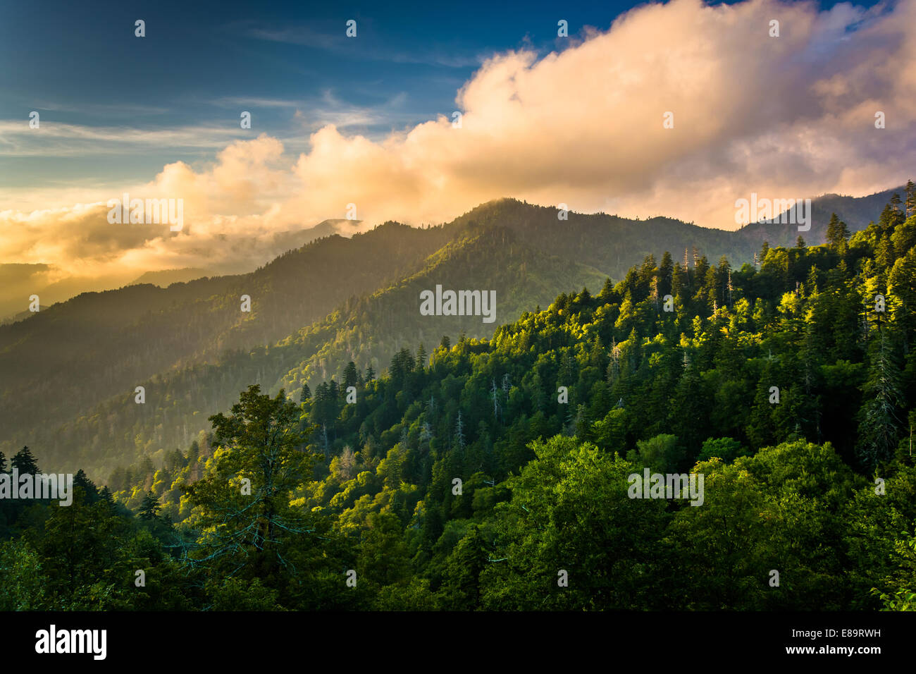 Evening light on the Smokies, seen from an overlook on Newfound Gap ...