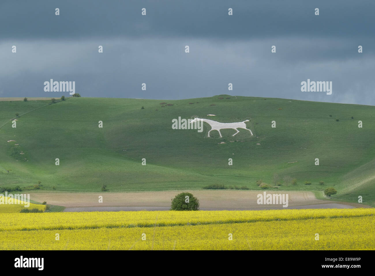 The Pewsey White Horse, Pewsey Hill, Wiltshire, England Stock Photo - Alamy