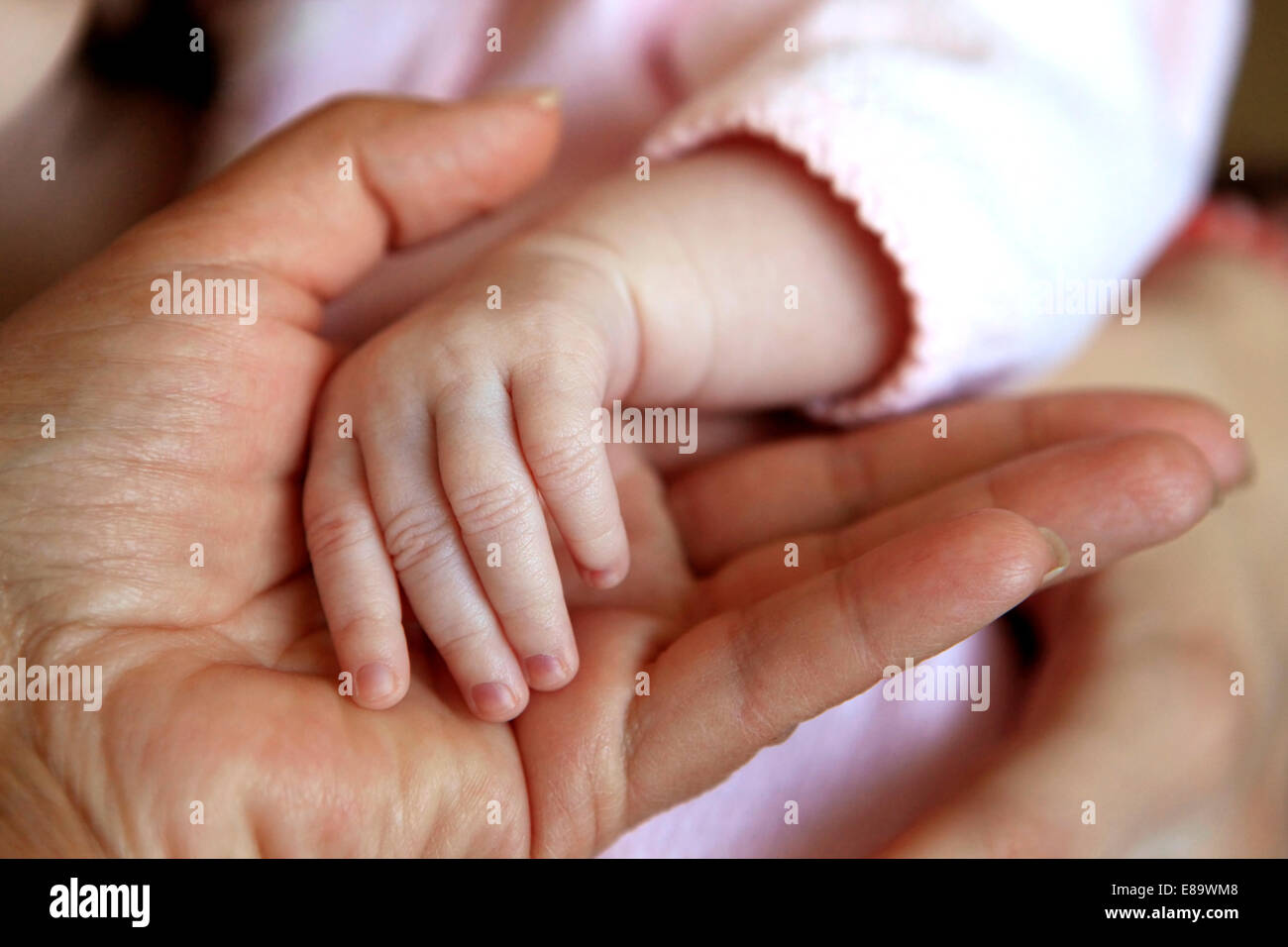 Adult and child hands hi-res stock photography and images - Alamy