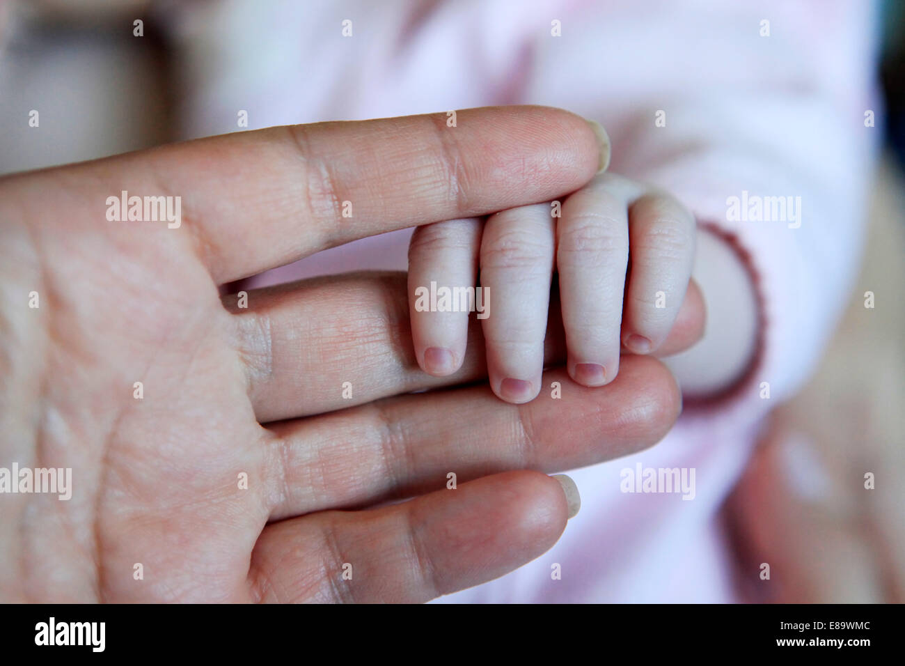 The image of hands of parent and the child Stock Photo - Alamy