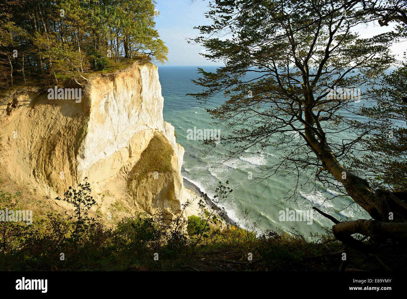 Møns klint hi-res stock photography and images - Alamy