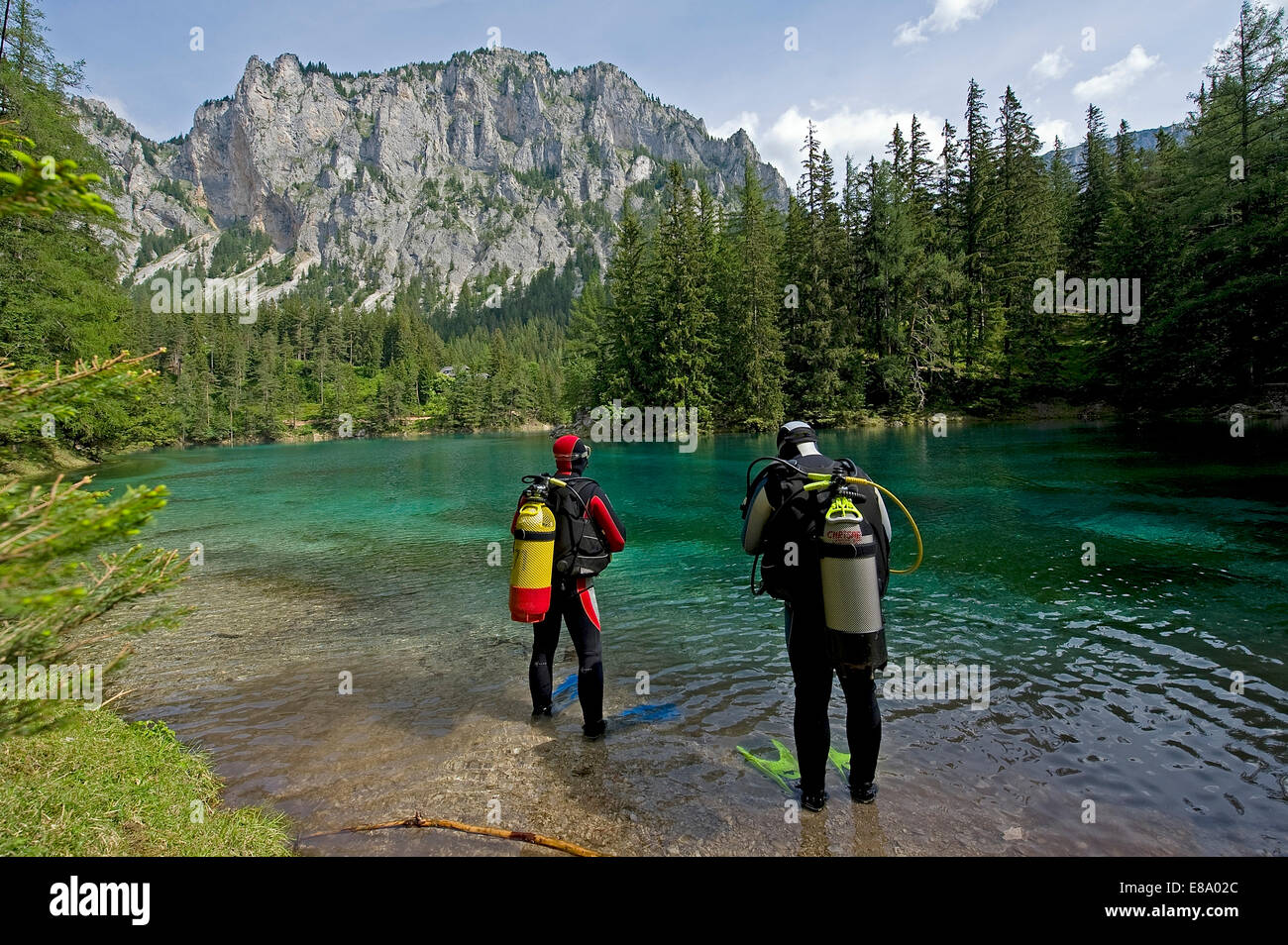 Divers at Grüner See or Green Lake, Tragöß, Styria, Austria Stock Photo ...