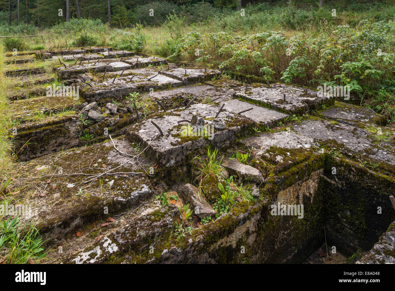 Secret Führer headquarters for Hitler, foundations of the generator ...