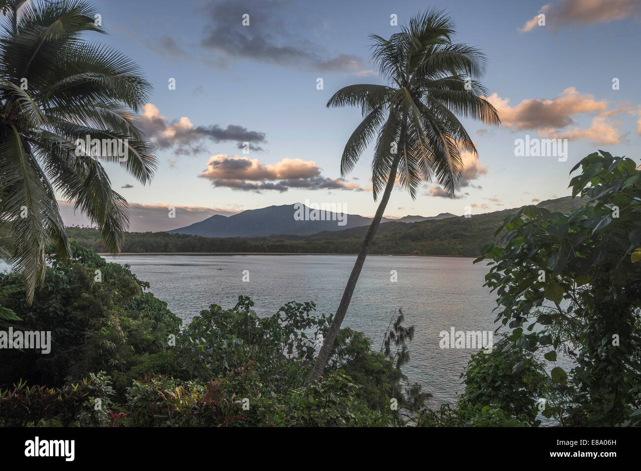 Palm trees off Port Resolution Bay, Tanna Island, Vanuatu Stock Photo ...