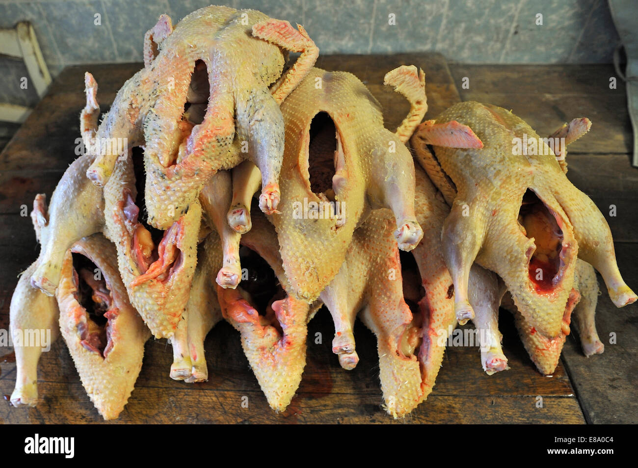 Home slaughtering, freshly slaughtered and plucked ducks, Middle ...