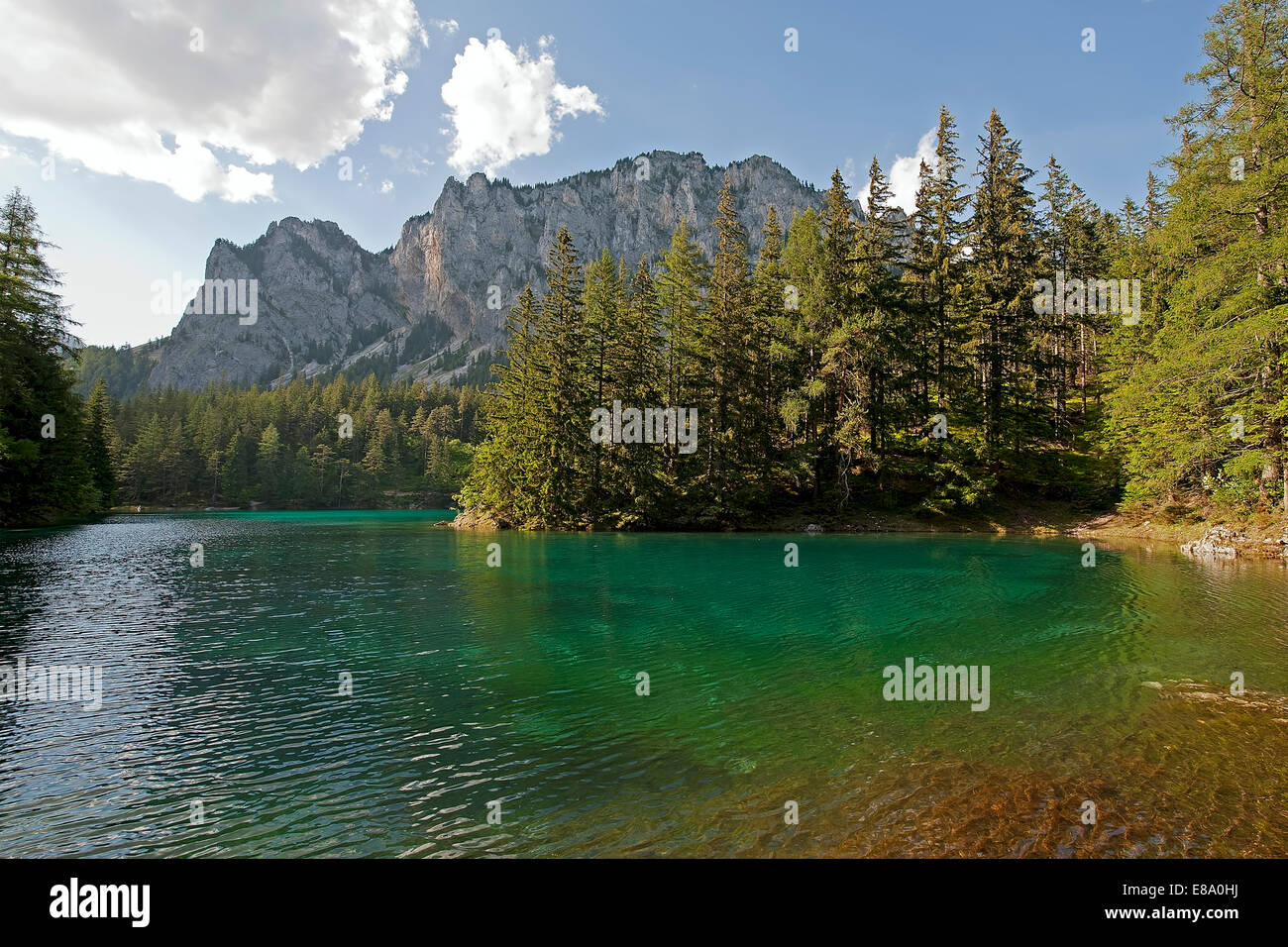 Grüner See or Green Lake, Tragöß, Styria, Austria Stock Photo - Alamy