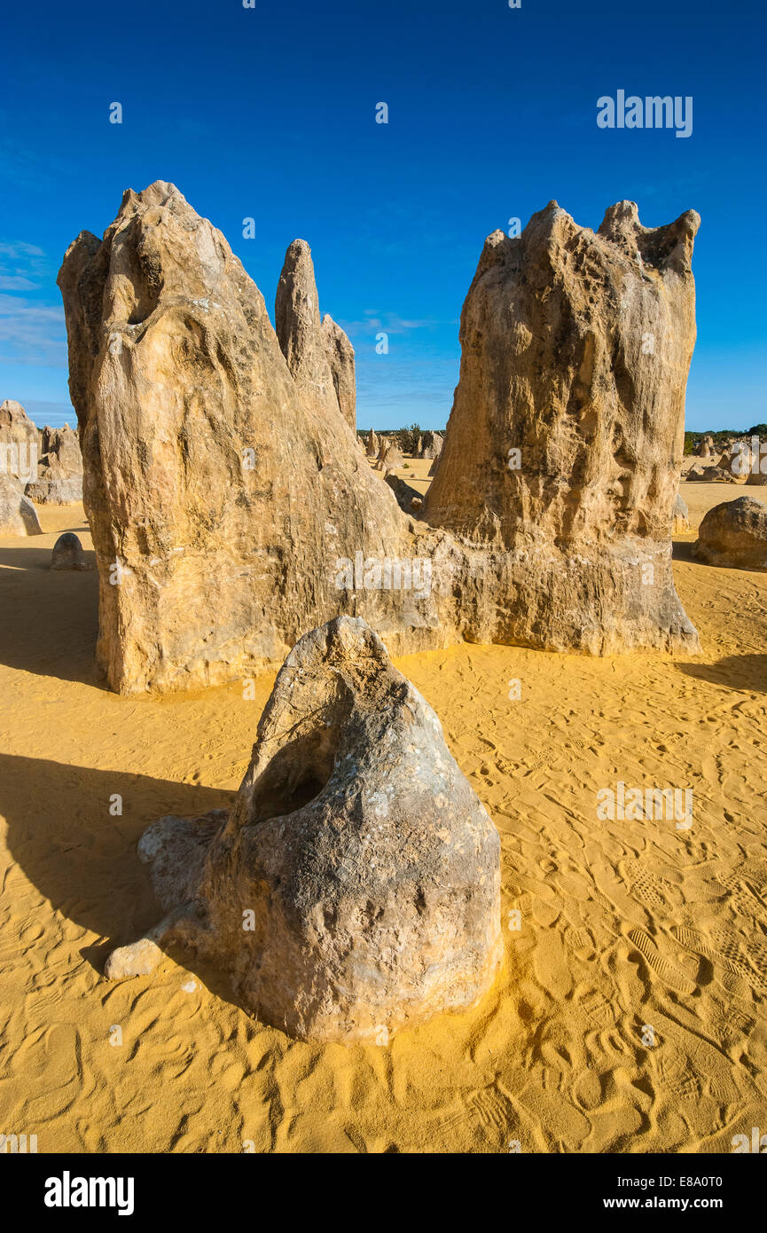 The Pinnacles limestone formations, Nambung National Park, Western ...
