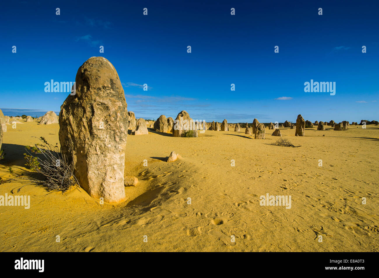 The Pinnacles limestone formations, Nambung National Park, Western ...